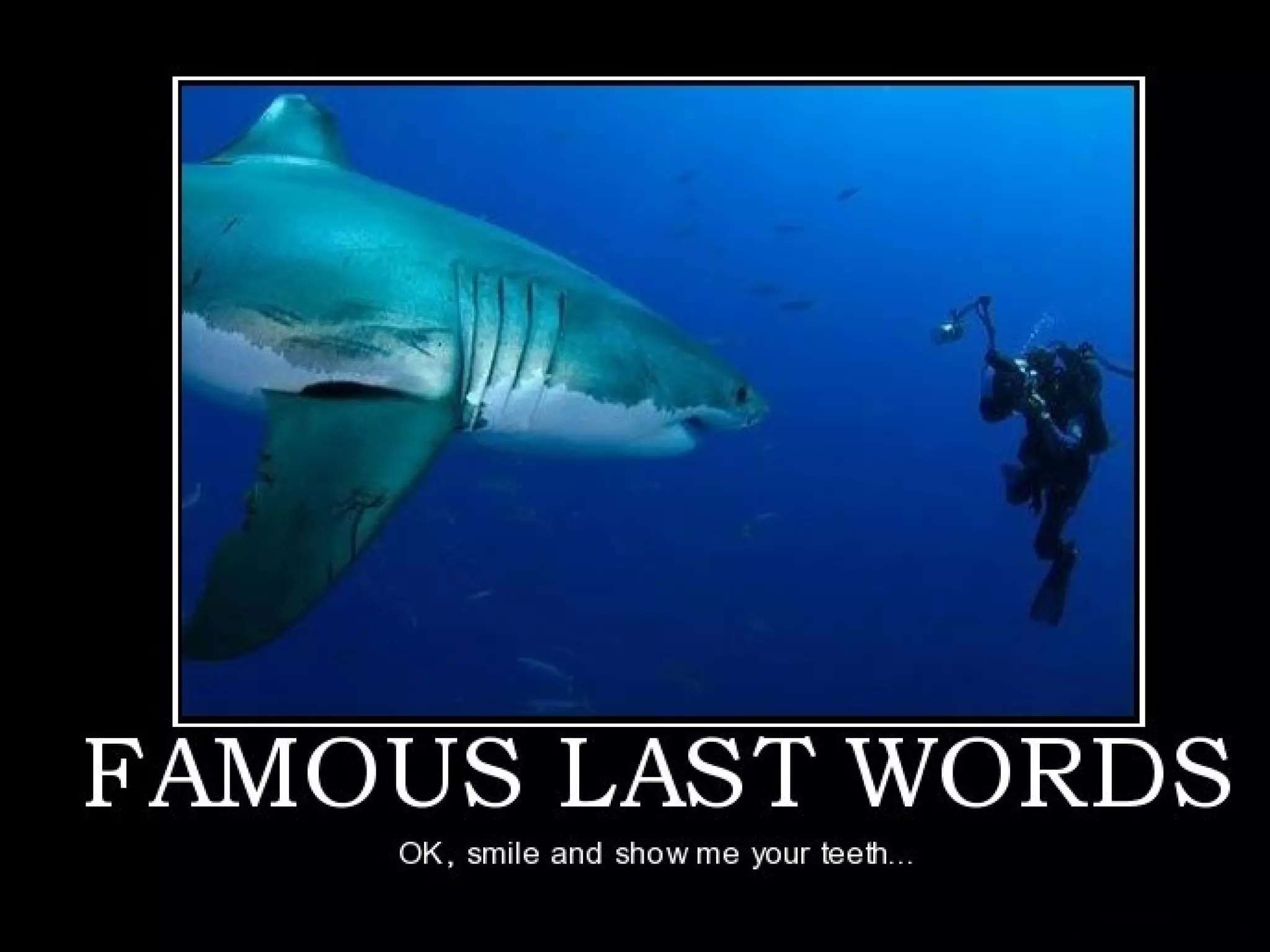 Famous last words | PPS