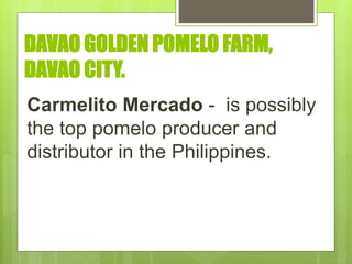 FAMOUS ORCHARD FARM.pptx