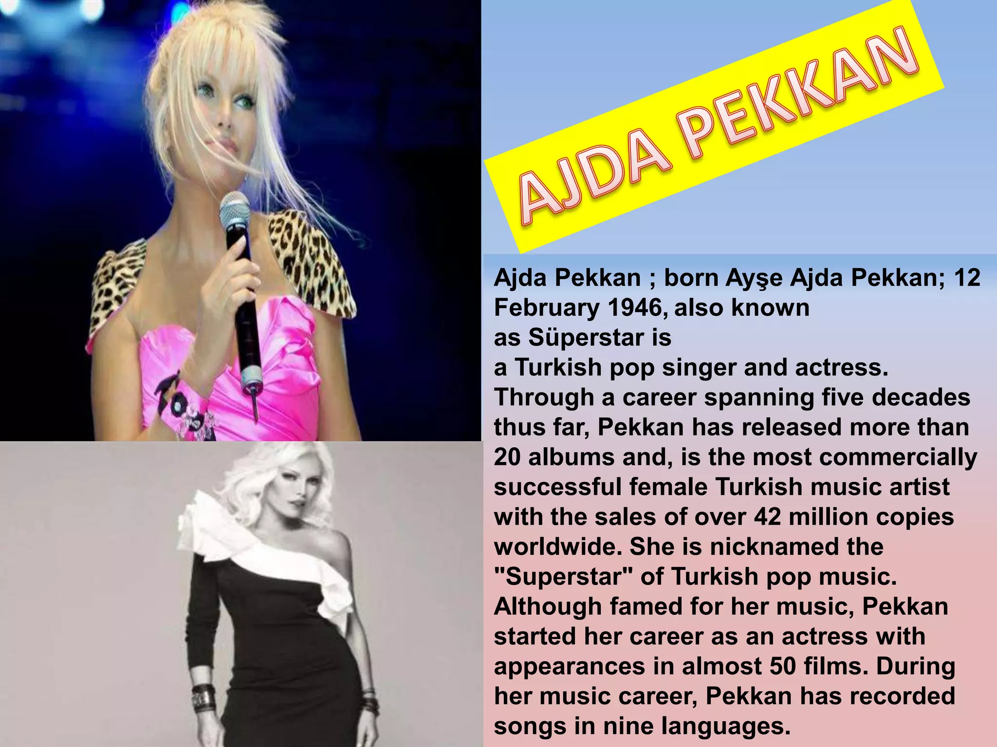 Famous turkish artists | PPTX