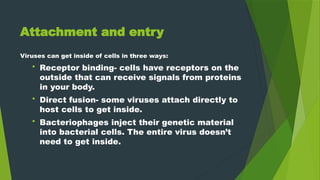 MICROBIOLOGY REPORT ALL ABOUT INFO OF VIRUSES | PPT