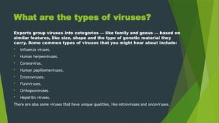 MICROBIOLOGY REPORT ALL ABOUT INFO OF VIRUSES | PPTX
