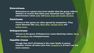 MICROBIOLOGY REPORT ALL ABOUT INFO OF VIRUSES | PPT
