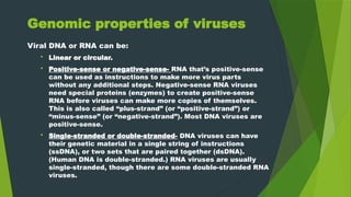 MICROBIOLOGY REPORT ALL ABOUT INFO OF VIRUSES | PPT