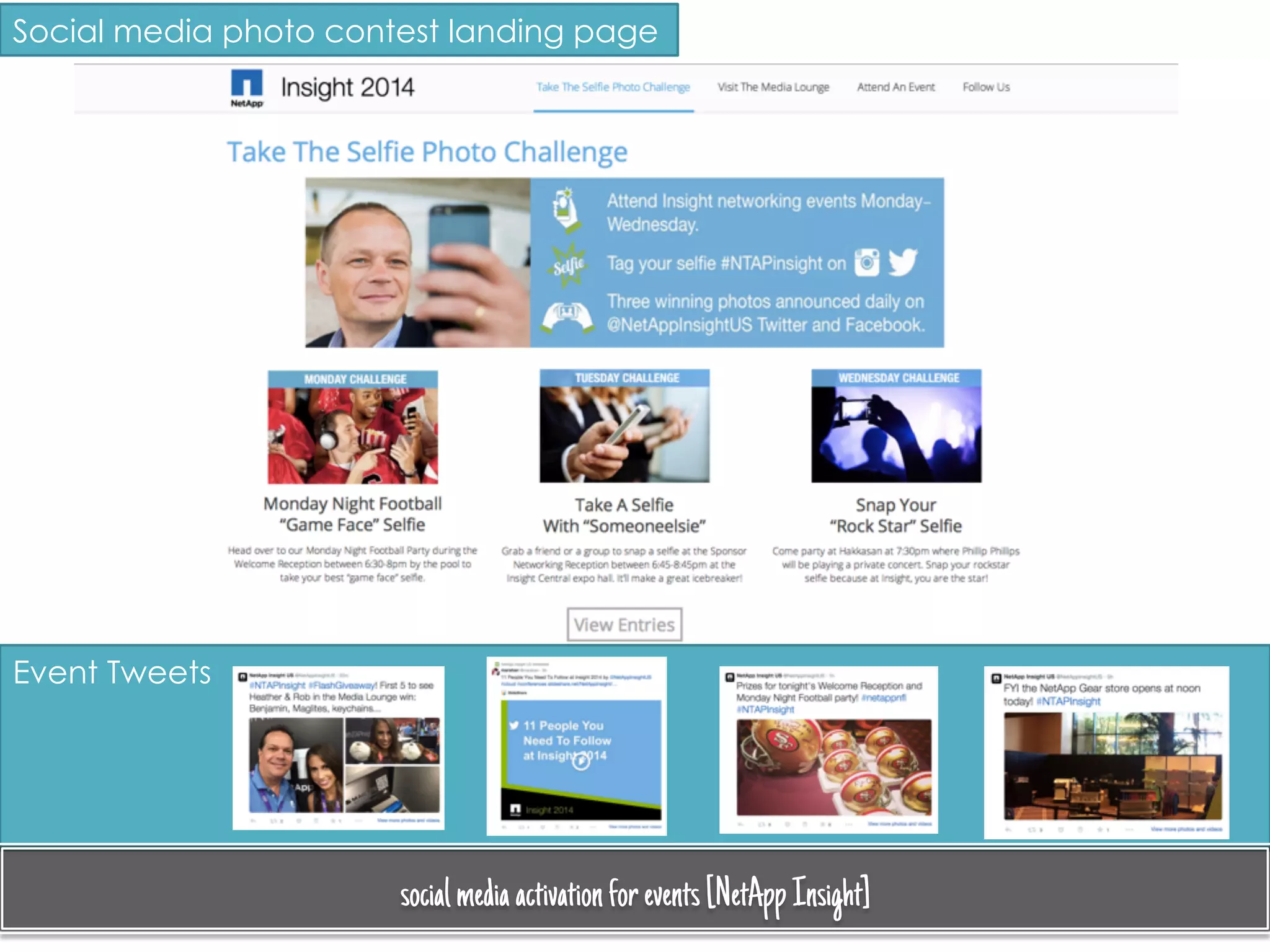 Fandom Marketing Intro | PDF