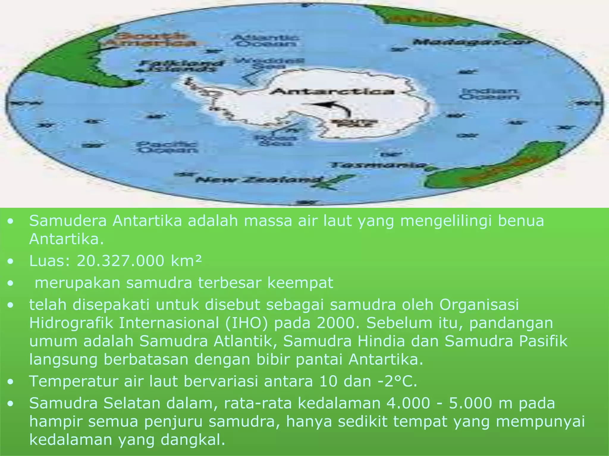 Presentasi Samudra | PPTX