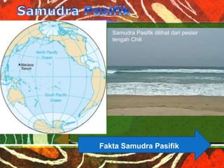 Presentasi Samudra | PPTX