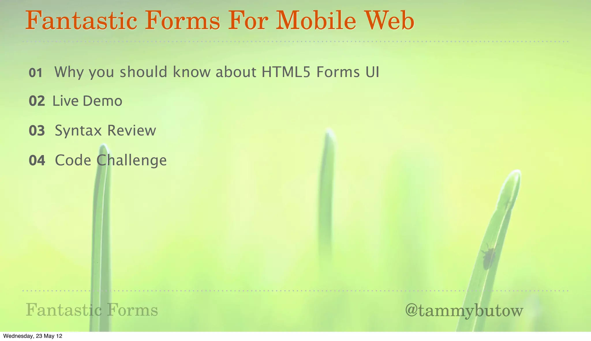 HTML5 Fantastic Forms for Mobile Web | PPT