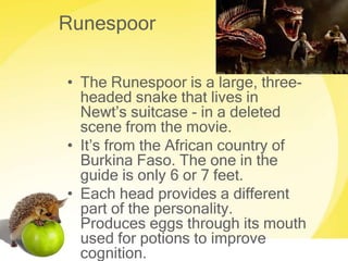 Runespoor Harry Potter