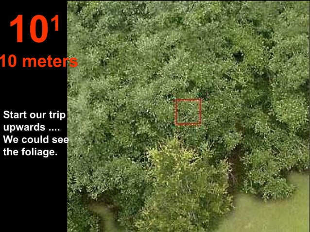 Fantastic Trip | PPT