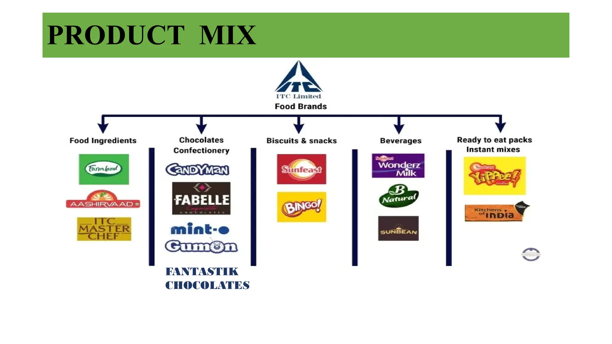 ITC Company Fantastik Chocolate Full PPT.pptx