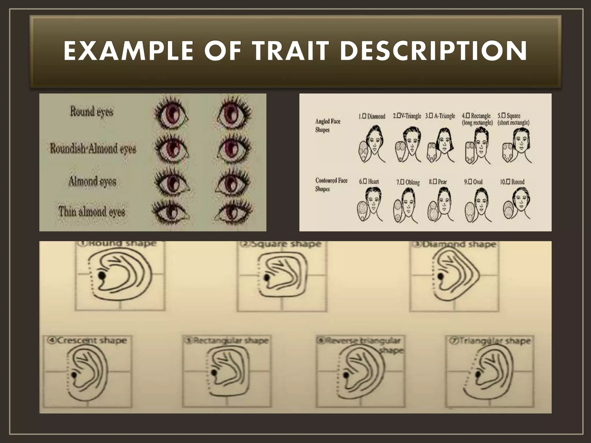 Portrait Parle via Bertillon System By G S Shaktawat | PPTX
