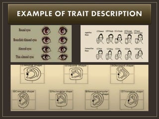 Portrait Parle via Bertillon System By G S Shaktawat | PPTX