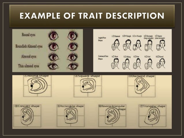 Portrait Parle via Bertillon System By G S Shaktawat | PPTX