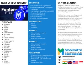 Fantom Blockchain Development | PPT