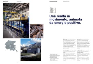 Fantoni company profile | PDF