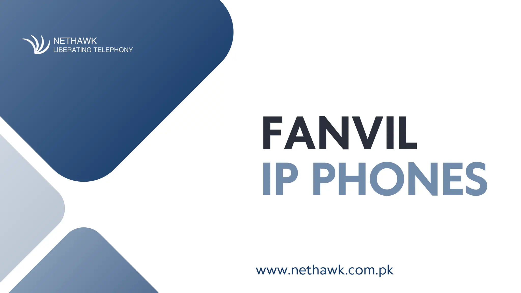 Fanvil IP Phones catalog by Nethawk with model details | PDF