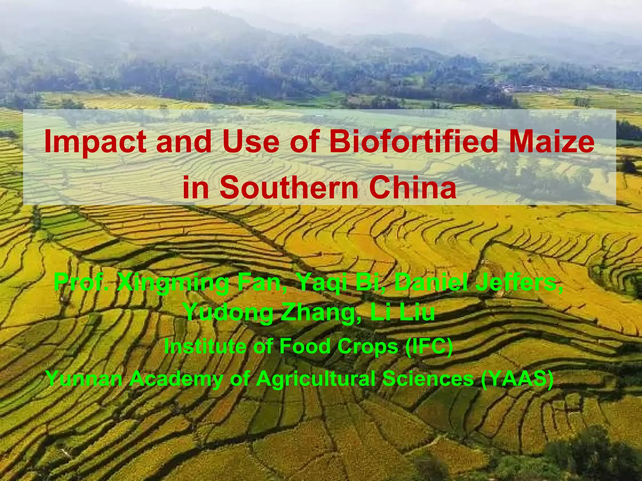 Impact and use of biofortified maize in southern China | PPT