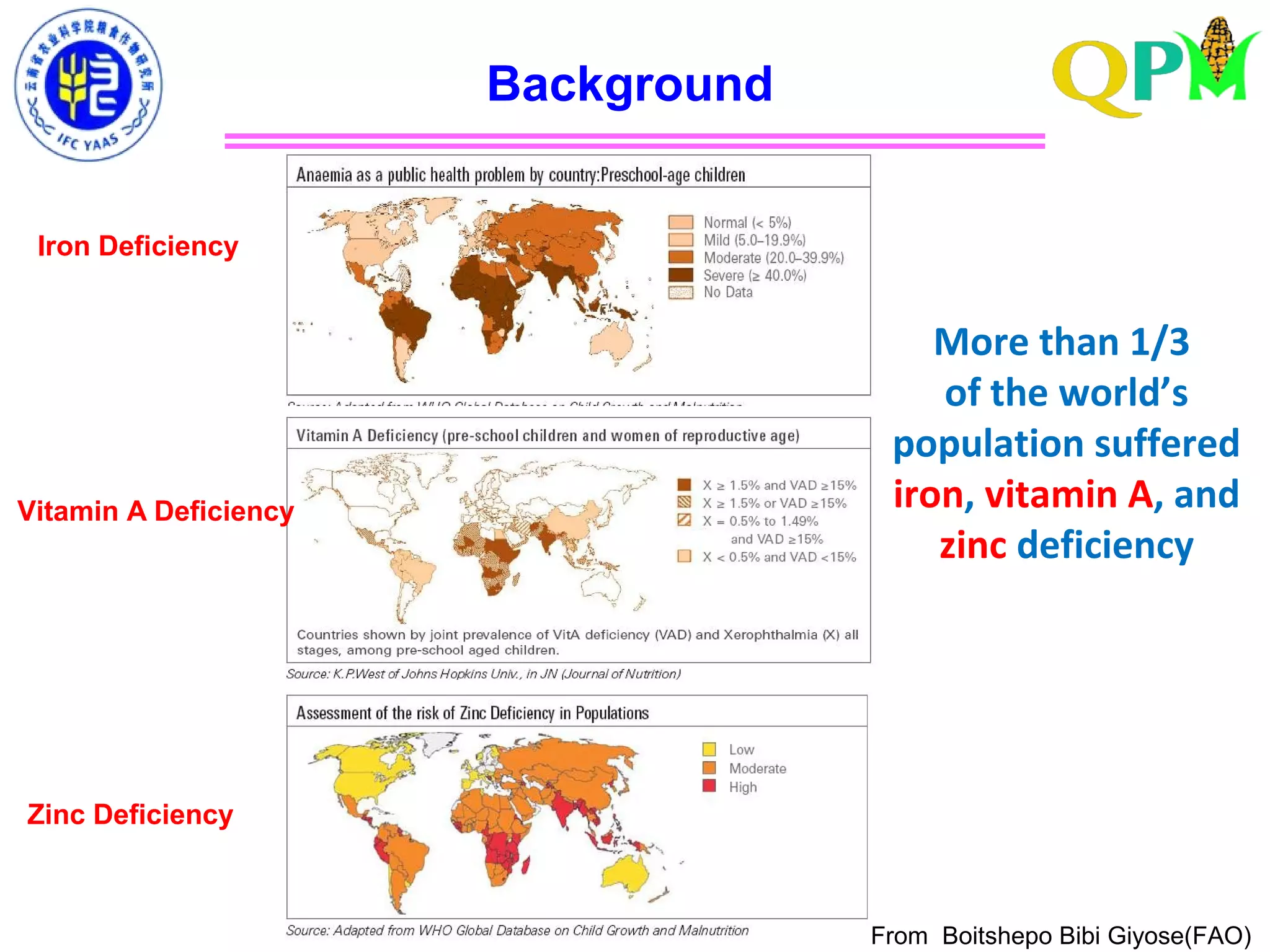 Impact and use of biofortified maize in southern China | PPT