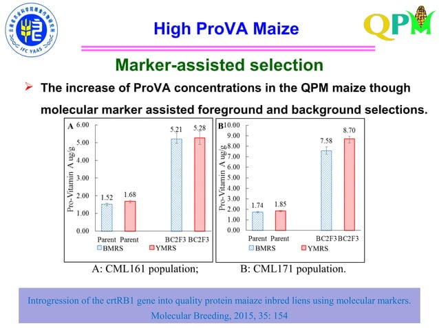 Impact and use of biofortified maize in southern China | PPT
