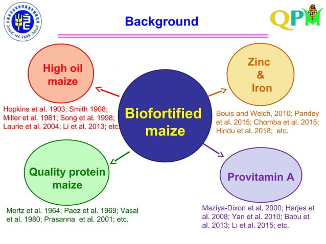 Impact and use of biofortified maize in southern China | PPT