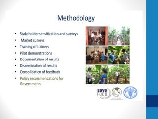 Fao. jorge fonseca save food | PPT