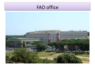 fao-190717090350.ppt
