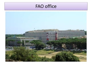 FAO | PPTX