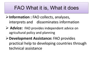 FAO | PPTX | Agriculture | Industries