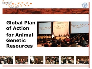 Implementing the Global Plan of Action for Animal Genetic Resources ...