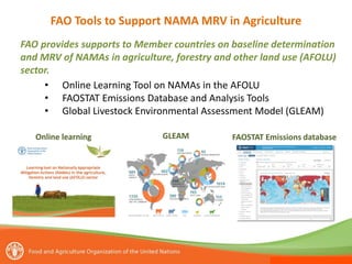 FAO Tools to Support the Measuring, Reporting and Verification of ...