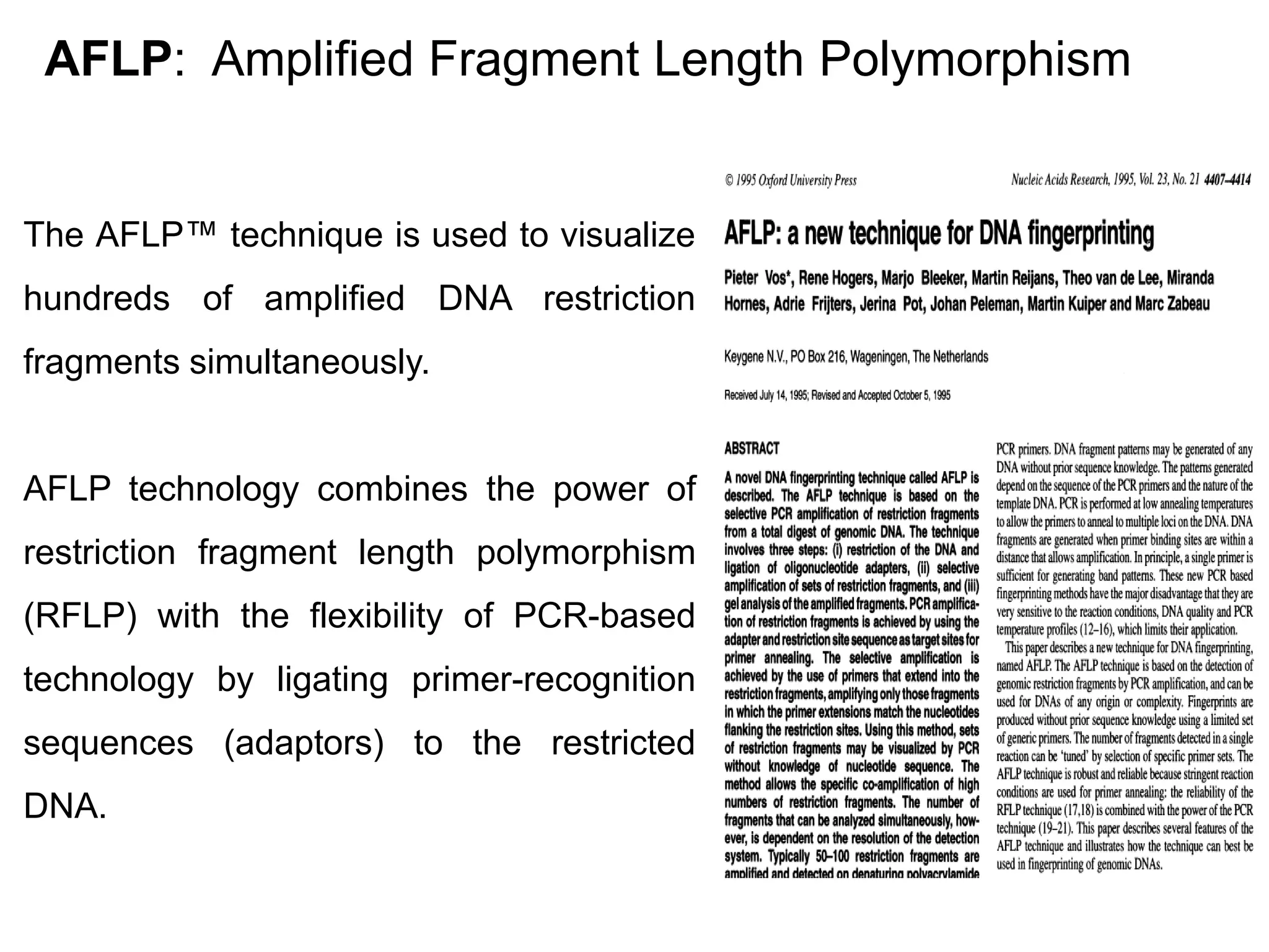 Application of Genetic Analyzer in AFLP Technique | PDF