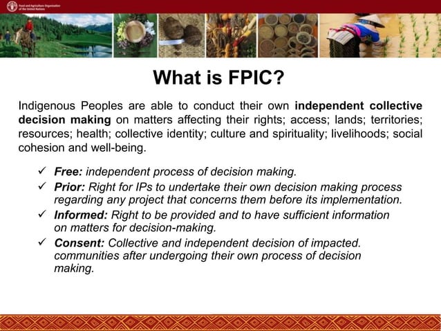 FAO and Indigenous Peoples, 2016 | PPT