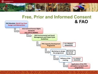 FAO and Indigenous Peoples, 2016 | PPT