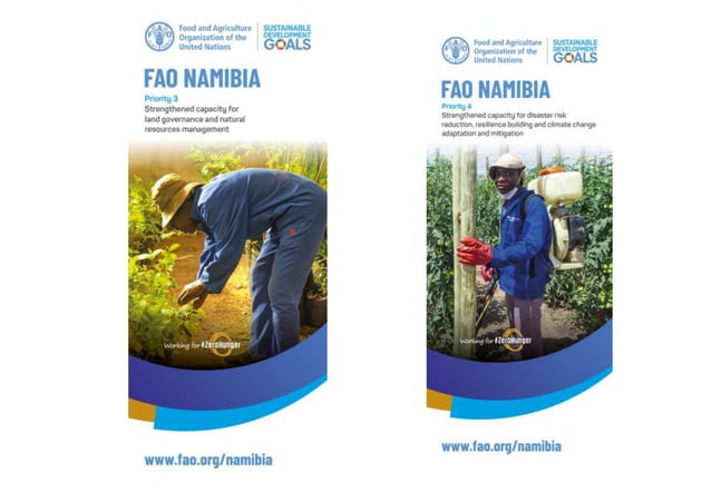 FAO Namibia Branding for signage, corporate wear and promotional ...