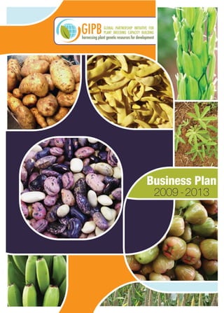 Fao Business Plan Web | PDF