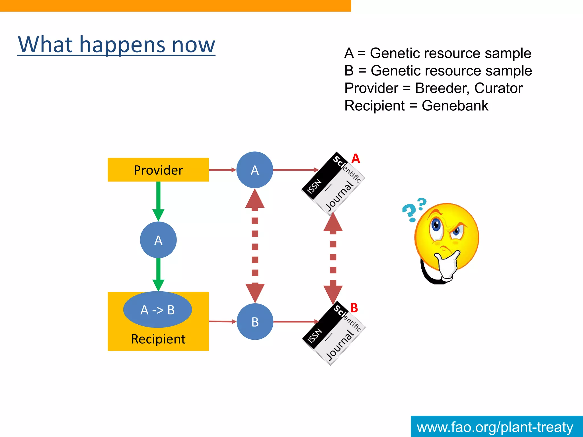 FAO DOI presentation by Marco Marsella | PDF