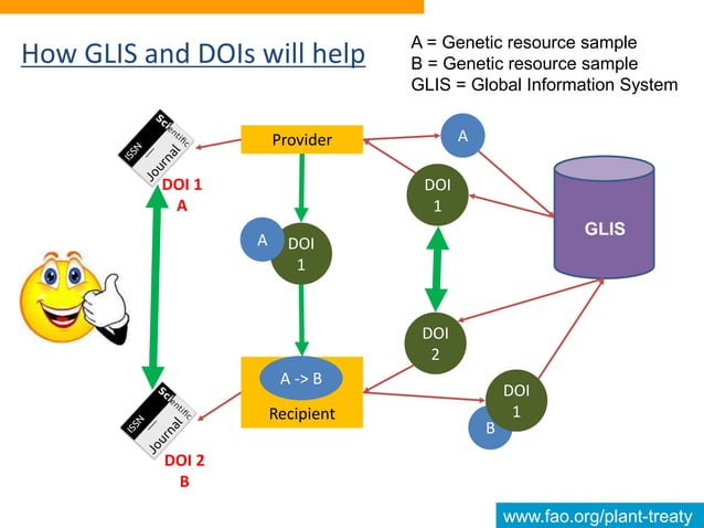 FAO DOI presentation by Marco Marsella | PDF