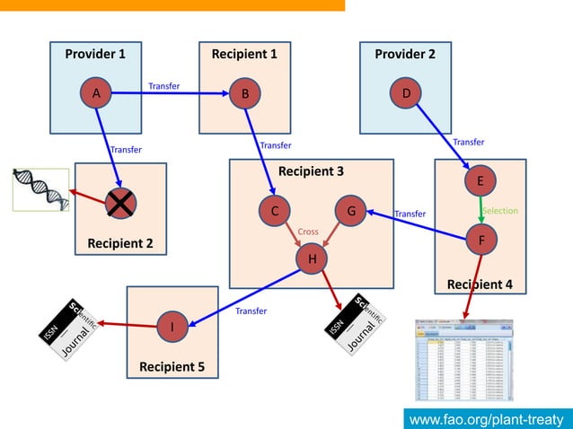FAO DOI presentation by Marco Marsella | PDF