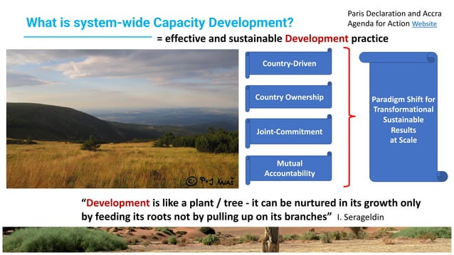 Unlocking Pathways for System-Wide Capacity Development in African ...