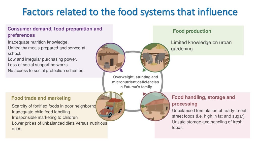 Nutrition-sensitive food systems: from concepts to practice: Resource…