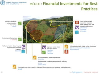 Beyond PES: Multiple Incentives for Ecosystem Services (IES) for ...