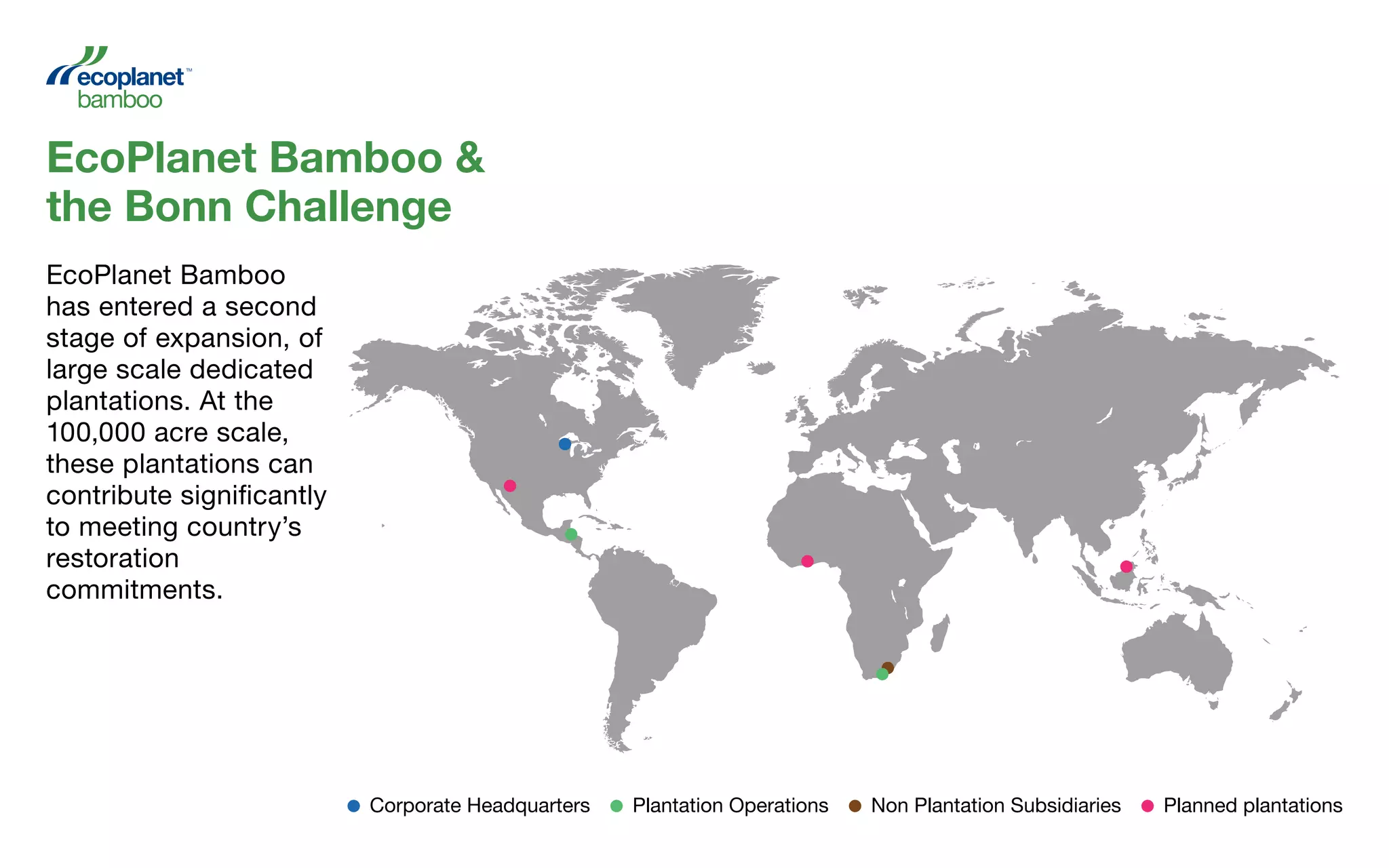 EcoPlanet Bamboo - Forest Landscape Restoration | PDF