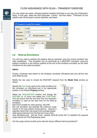 Olga Software | PDF