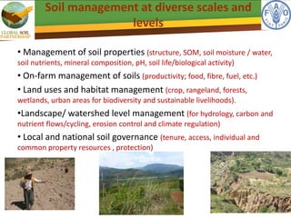 Sustainable Soil Management Pillar 1 of the Global Soil Partnership ...