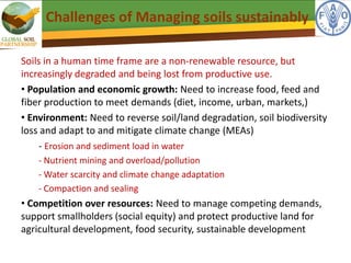 Sustainable Soil Management Pillar 1 of the Global Soil Partnership ...