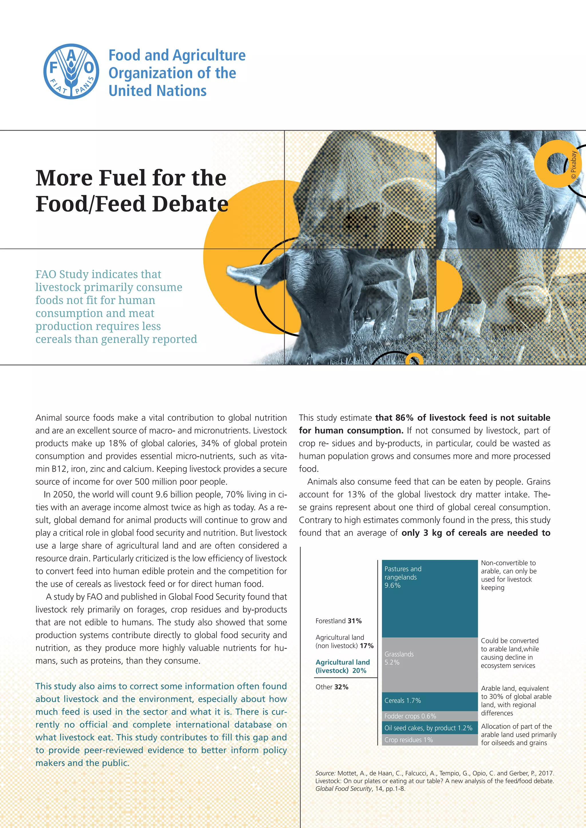 More fuel for the food-feed debate (FAO , 2022) | PDF