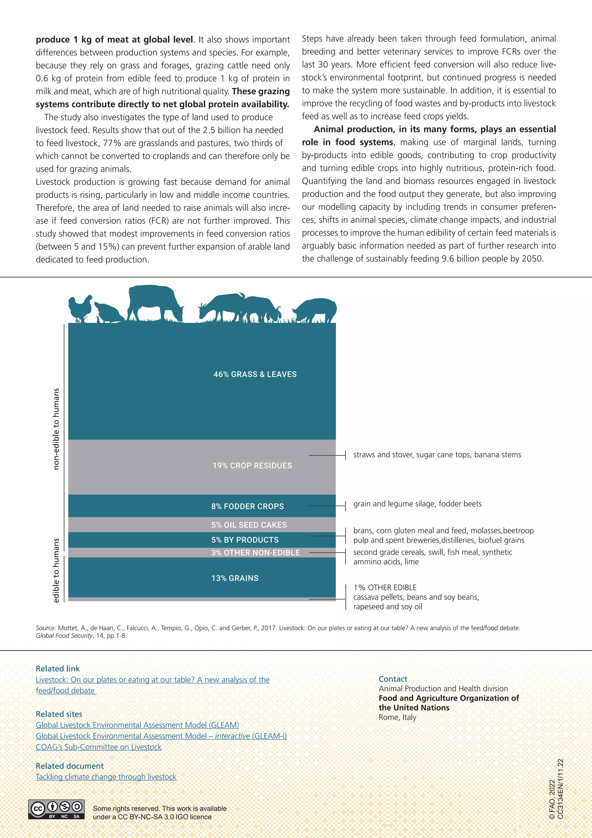 More fuel for the food-feed debate (FAO , 2022) | PDF