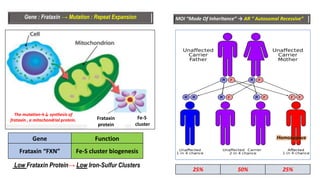 The Heart in Friedreich Ataxia | PPTX