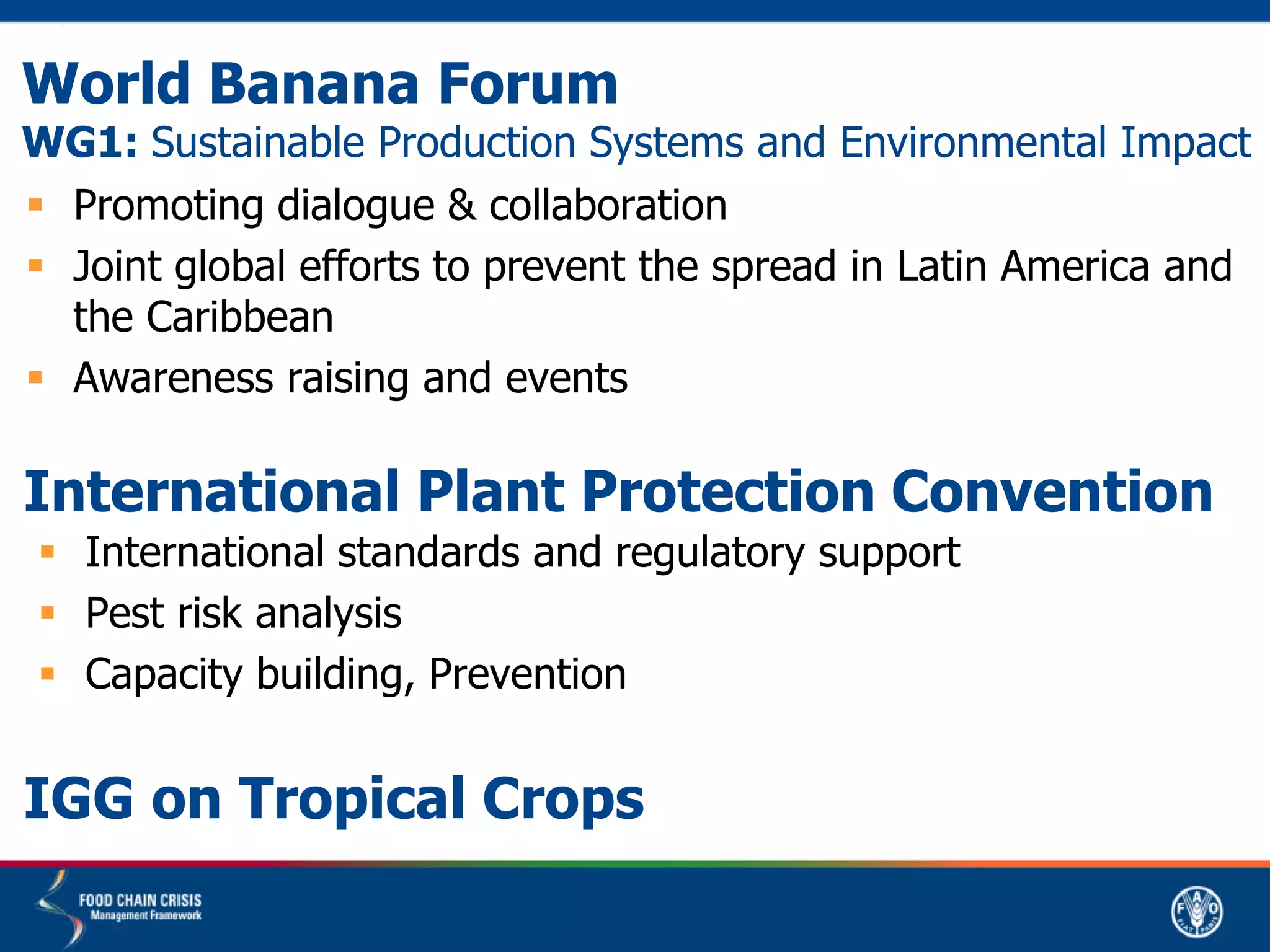 Efforts of FAO and the Global Programme on prevention of banana ...