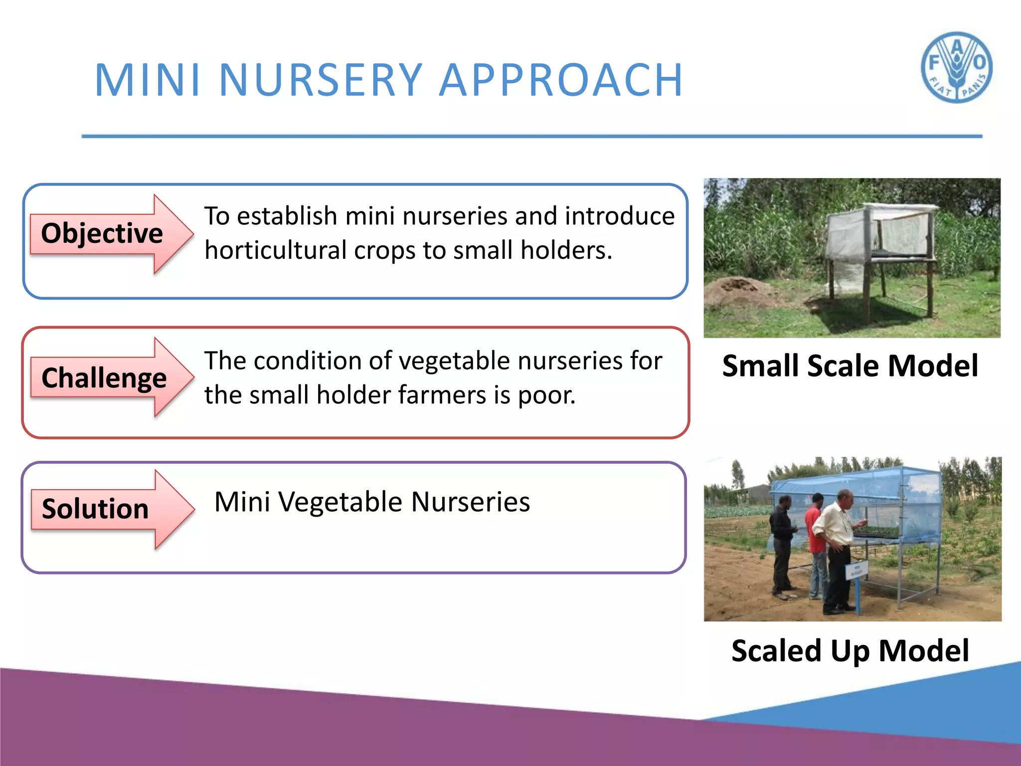 Fao smallholder horticulture and triangular cooperation in ethiopia | PDF